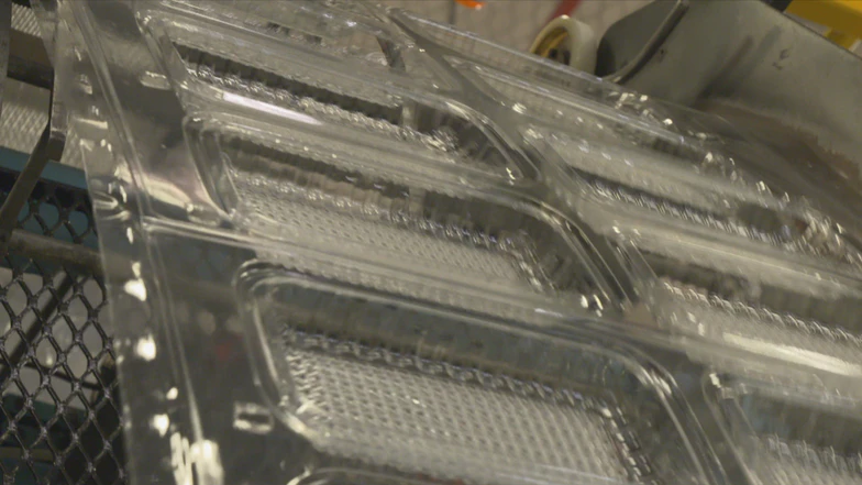 Auckland factory producing recyclable meat trays - RecycleKiwi